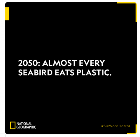 Six Word Horror Story Challenge, are you up for it?